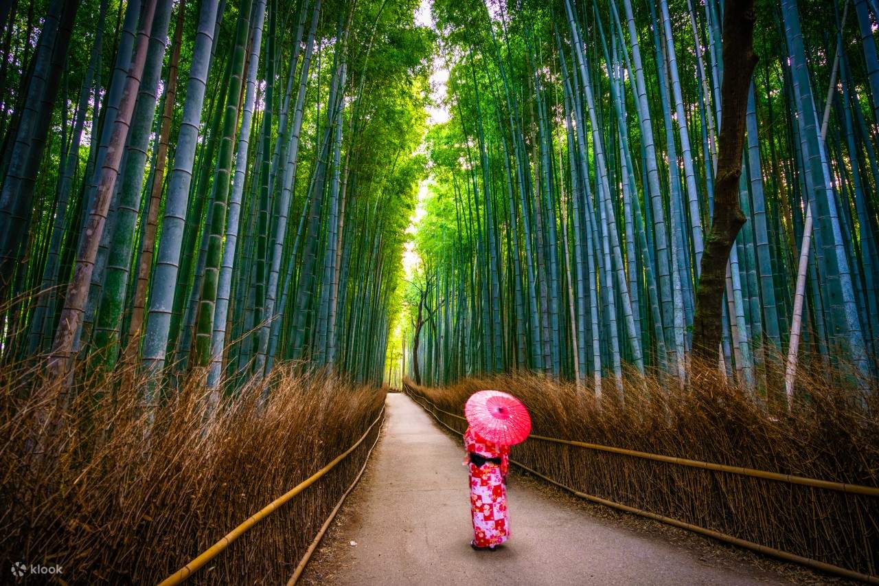 [One-day tour of Kyoto and Osaka attractions] Miyama Gassho Village ...